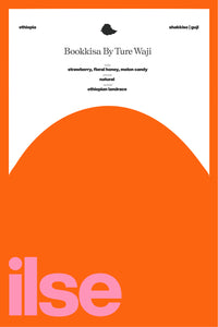 ilse coffee | Showcasing the world's best coffees