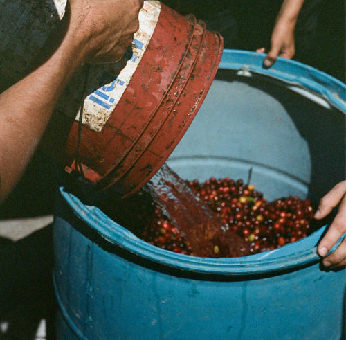 Our Coffee – ilse coffee