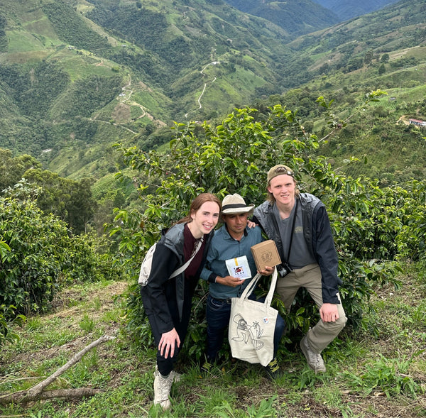 About Us – ilse coffee